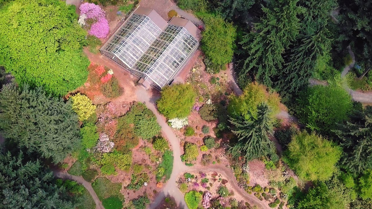 Visiting the world’s largest rhododendron collection – Rhododendron ...